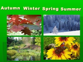 Seasons | PPT