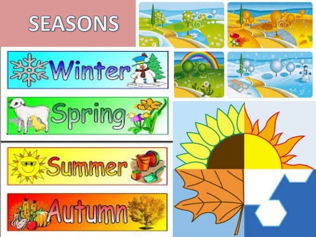 Seasons and weather | PPT