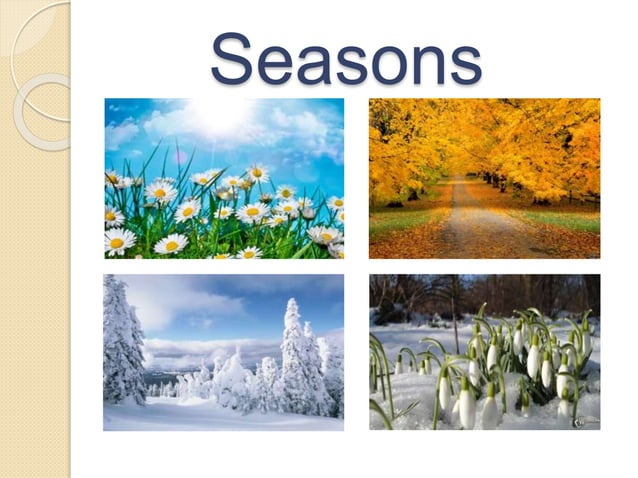 Seasons | PPTX