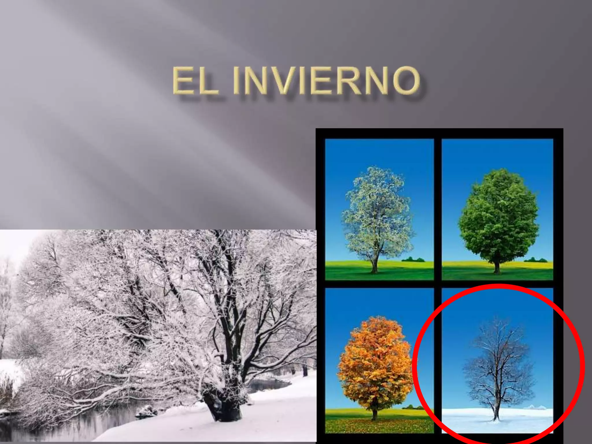 Seasons in Spanish | PPTX