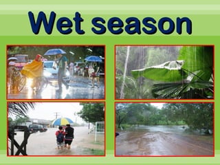 Seasons in the Philippines | PPT