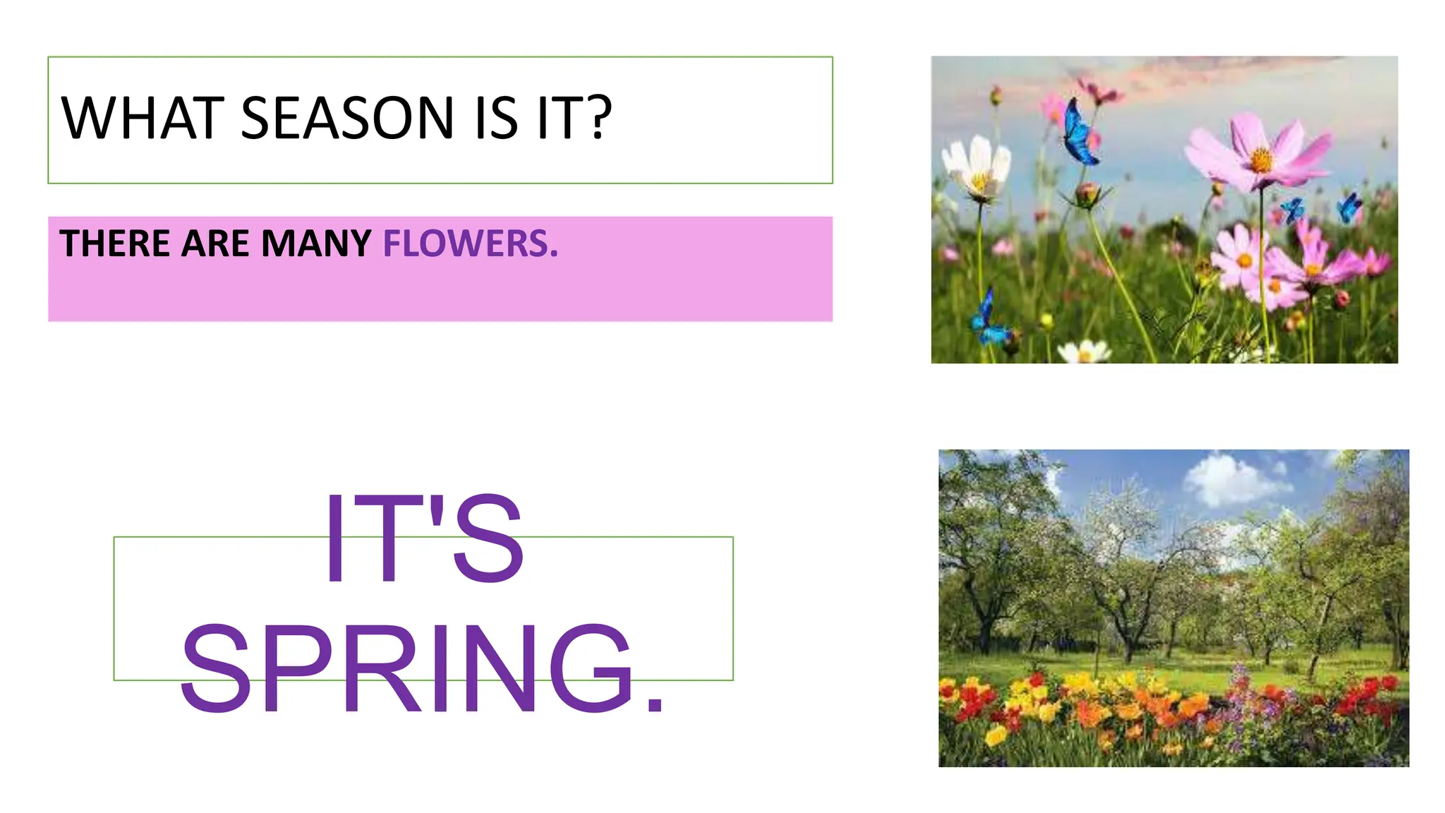 seasons.pptx