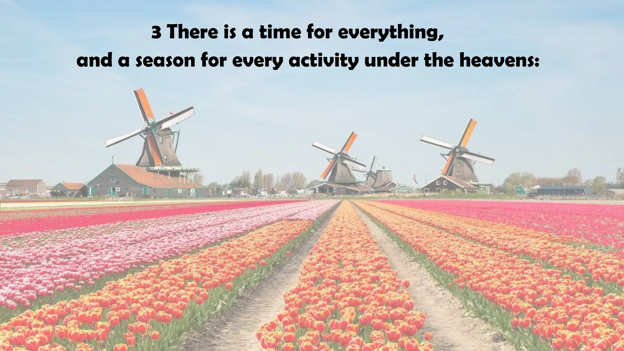 Seasons Adventurer Award for Sunbeam Class | PPTX