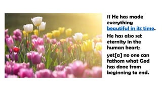 Seasons Adventurer Award for Sunbeam Class | PPTX