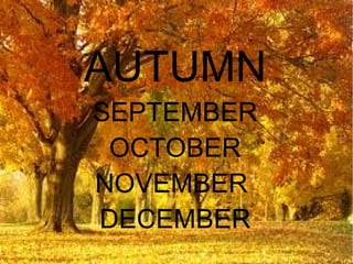 Seasons and months | ODP