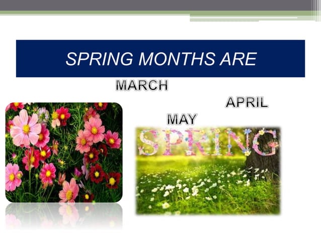Seasons and months of the year | PPT