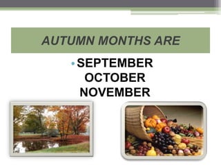 Seasons and months of the year | PPT