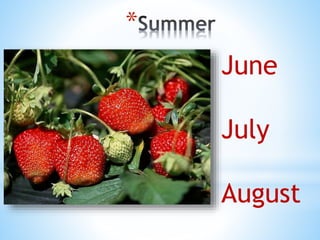 Seasons and weather presentation | PPTX