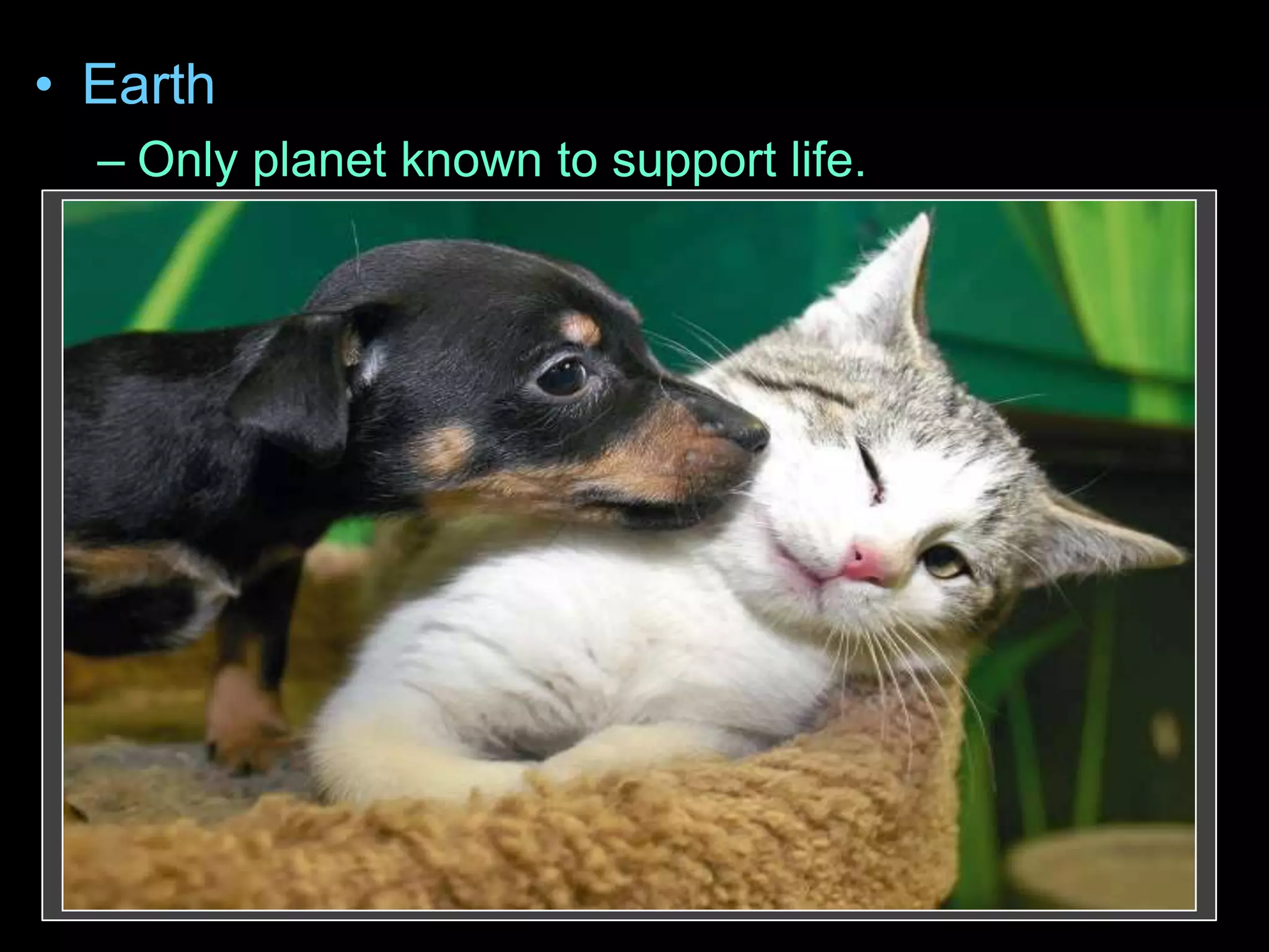 Seasons, Earth, Axial Tilt Lesson PowerPoint | PPTX