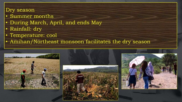 Seasons in the philippines | PPTX | Weather | Science