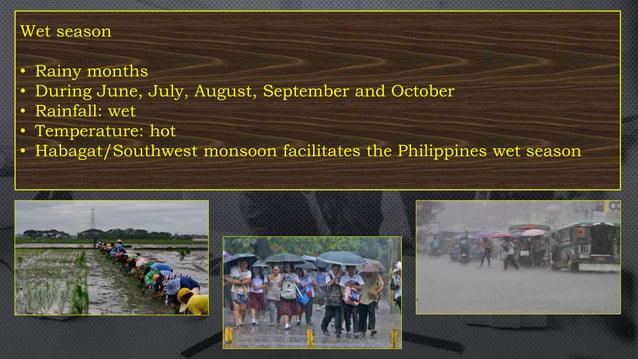 Seasons in the philippines | PPTX | Weather | Science