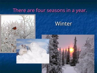 Understanding Seasons and Weather Patterns: A Comprehensive Guide for ...