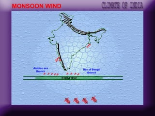 Seasons of india | PPT