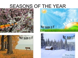 Seasons Of The Year | PPT