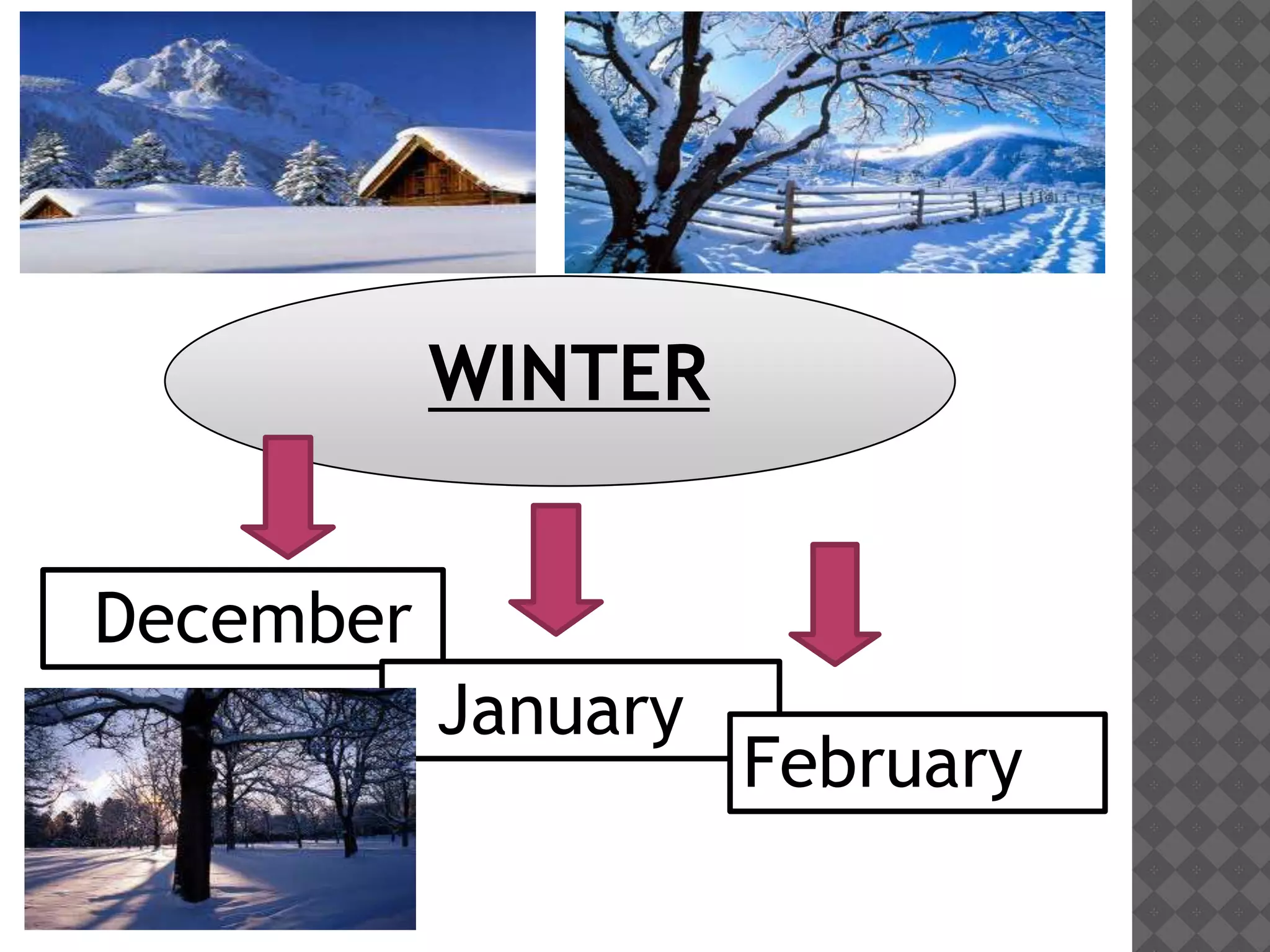 Seasons powerpoint | PPSX