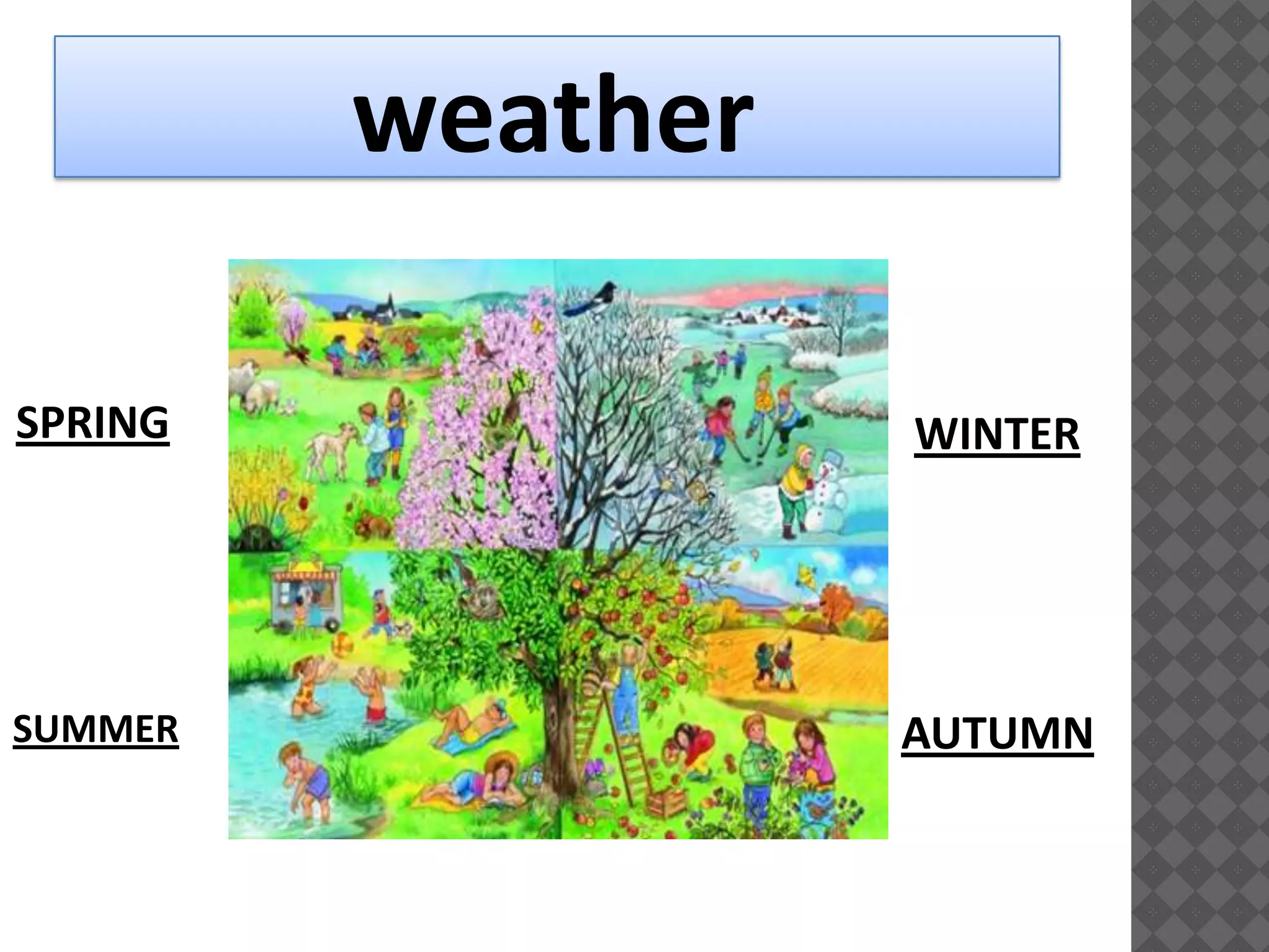 Seasons powerpoint | PPSX