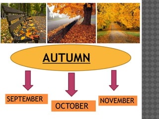 Seasons powerpoint | PPSX