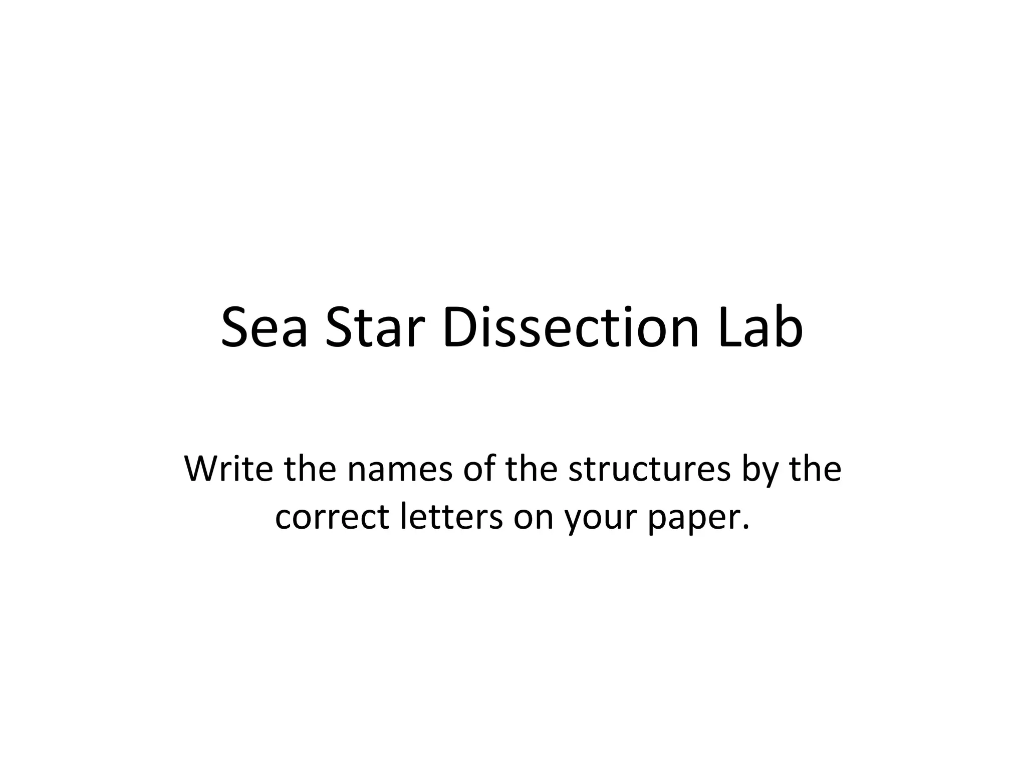 Sea star dissection powerpoint | PPT
