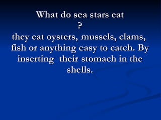 Sea stars | PPT