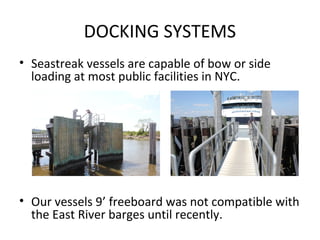 Seastreak | PPT