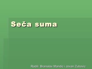 Seča suma mandić i zubović | PPT