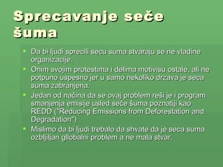 Seča suma mandić i zubović | PPT
