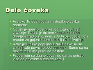 Seča suma mandić i zubović | PPT