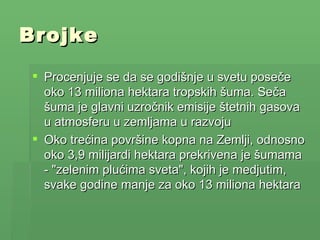 Seča suma mandić i zubović | PPT