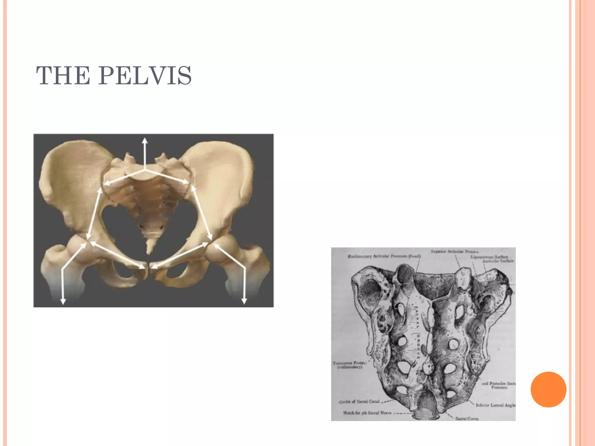 Seating & positioning v2 | PPT