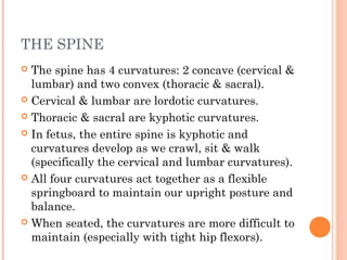 Seating & positioning v2 | PPT