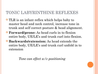Seating & positioning v2 | PPT