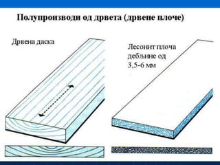 Seča, transport i prerada drveta | PPT