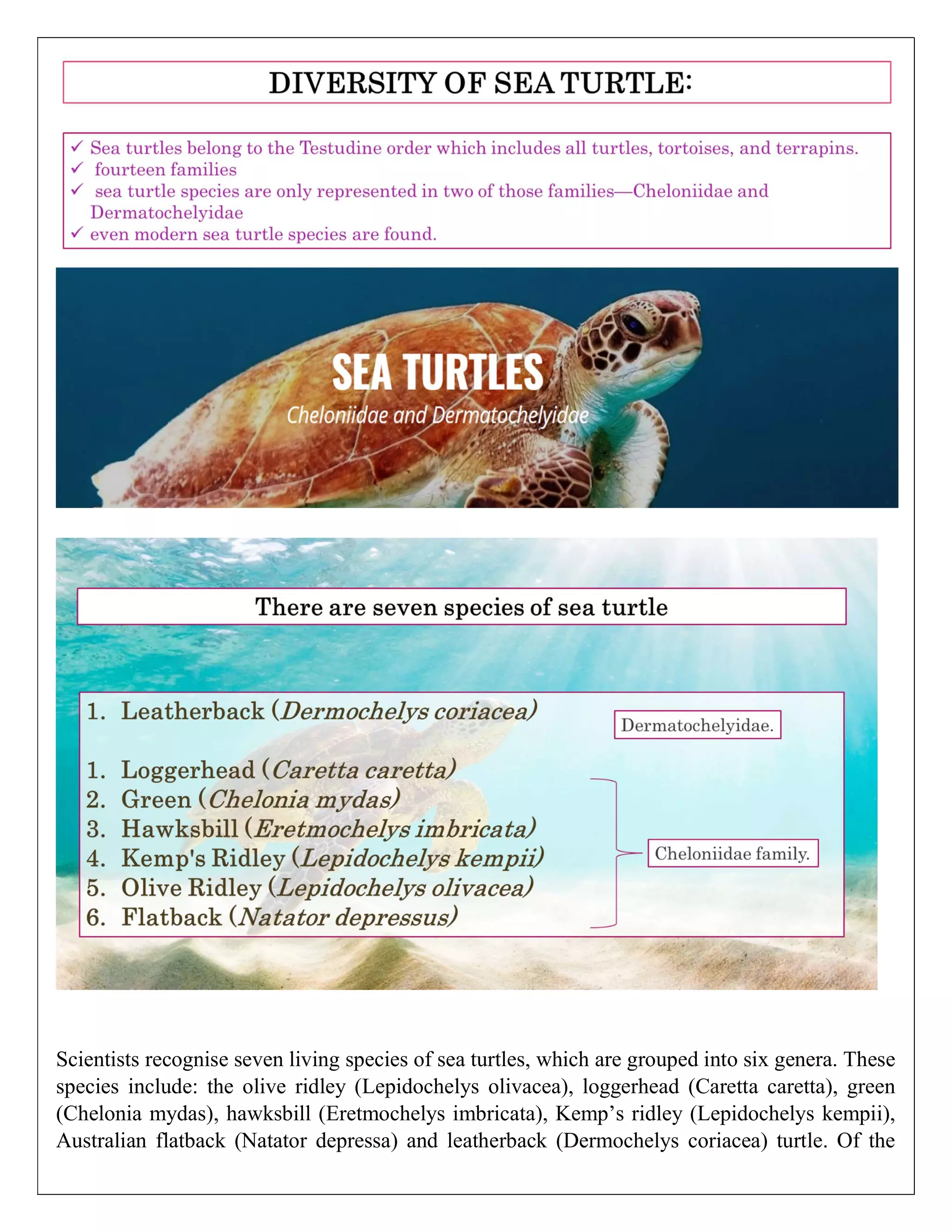 Threat of sea turtle Rajeev raghavan Kufos kerala | PDF