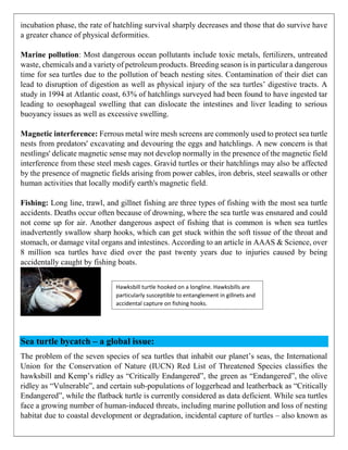 Threat of sea turtle Rajeev raghavan Kufos kerala | PDF