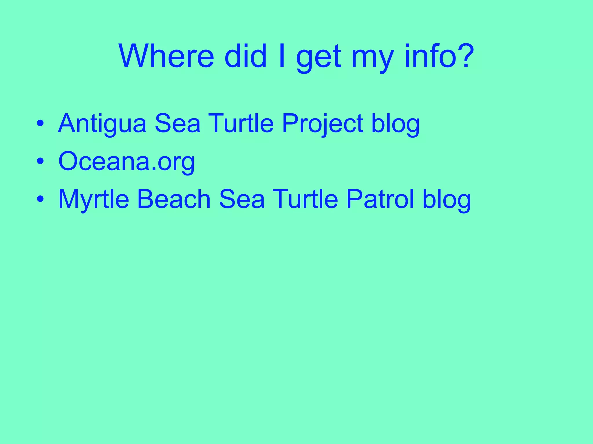 Sea turtle presentation | PPTX