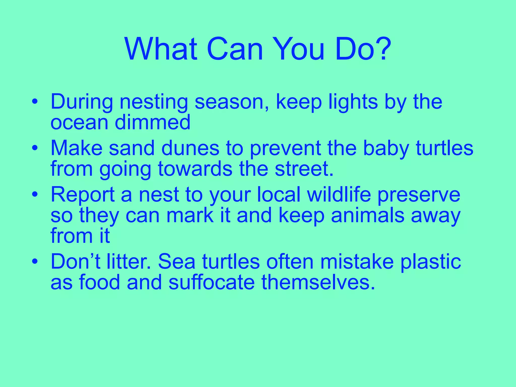 Sea turtle presentation | PPTX