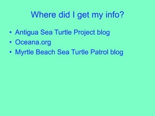 Sea turtle presentation | PPTX