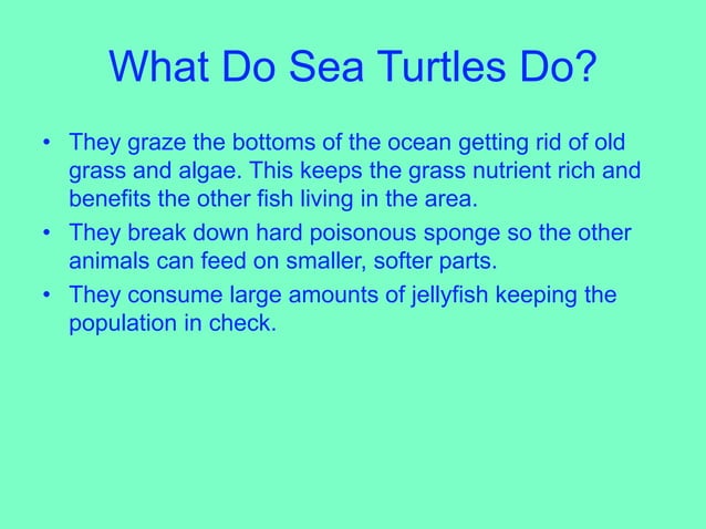 Sea turtle presentation | PPTX | Reptiles | Pets