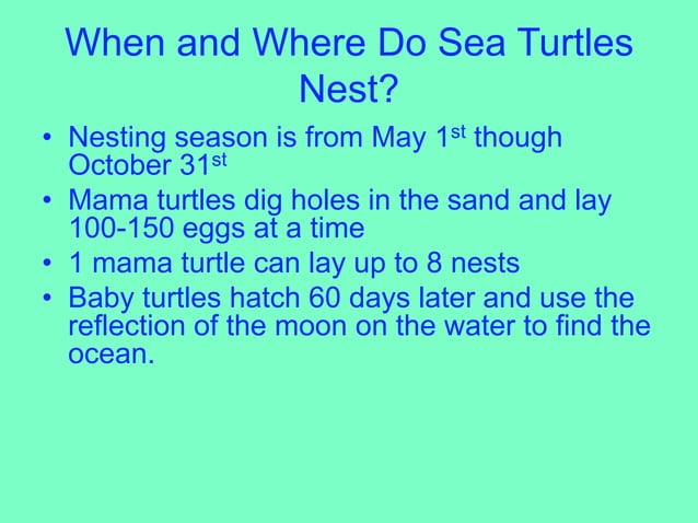 Sea turtle presentation | PPTX | Reptiles | Pets