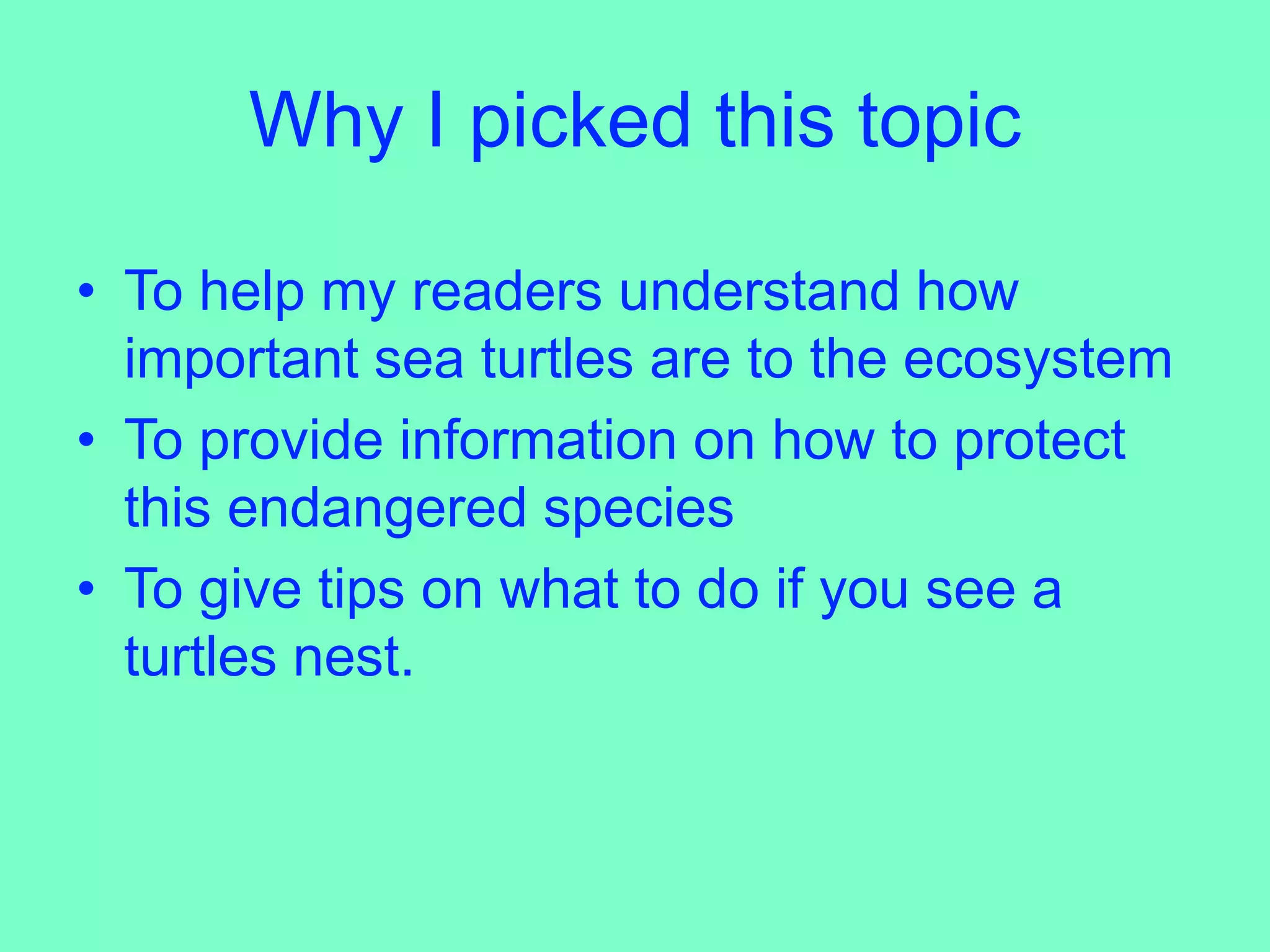 Sea turtle presentation | PPTX