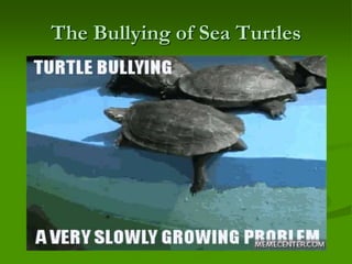 Sea turtles | PPTX