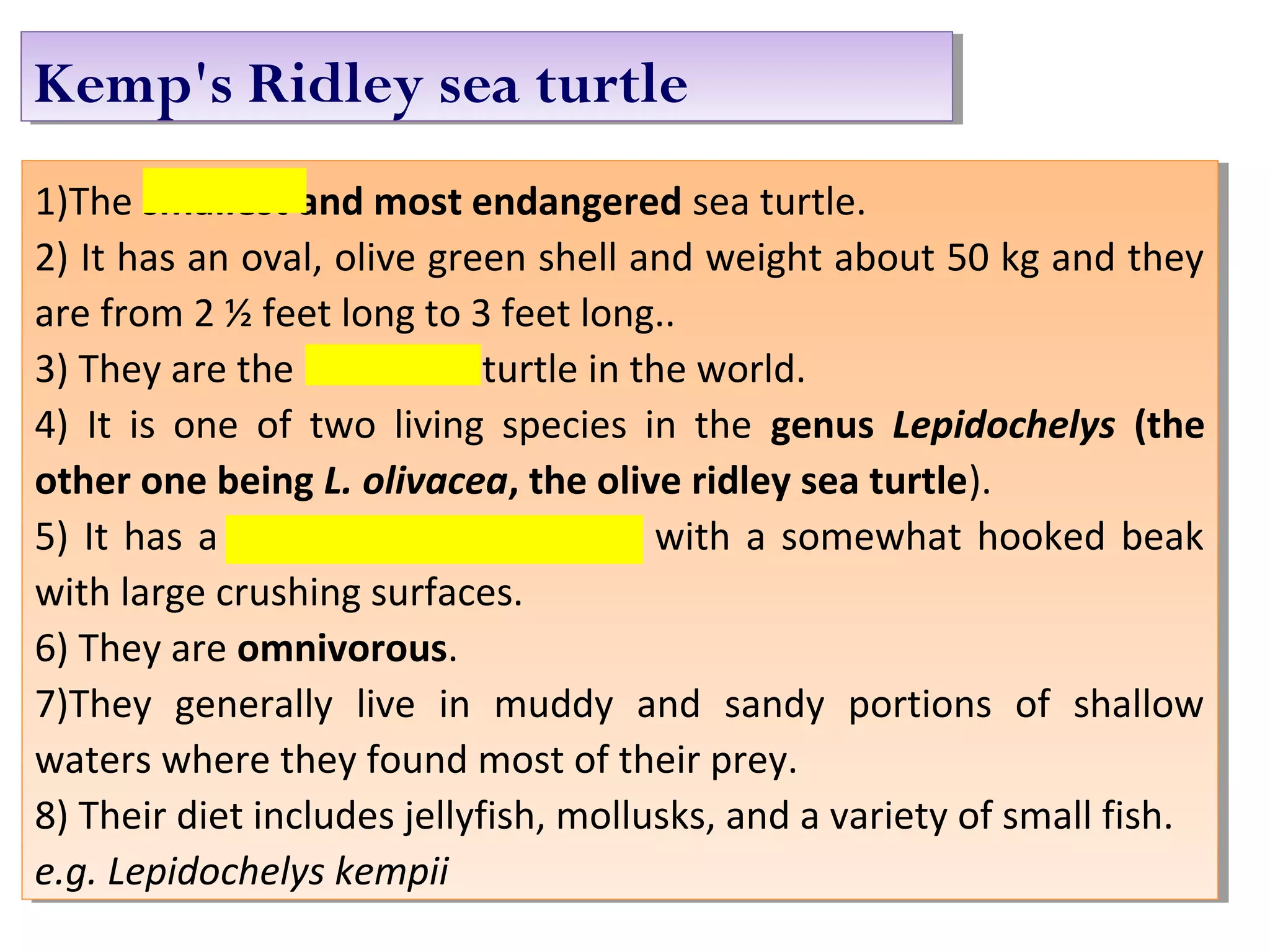 Sea turtles introduction | PPT