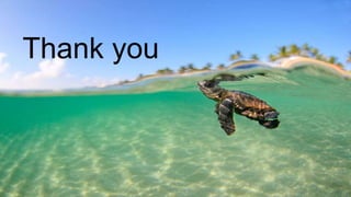 Sea turtles biodiversity presentation | PPTX