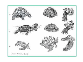 Sea turtles powerpoint | PPT
