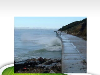 Sea wall and its sustainability | PDF