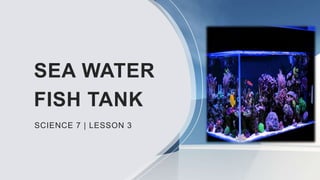 SEA WATER FISH TANK lesson 3.pptx