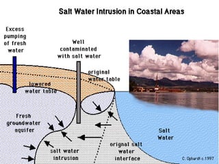 Sea water intrusion | PPT