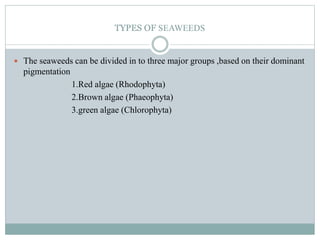 Seaweed Introduction/ Types and its Biotechnological Applications | PPTX