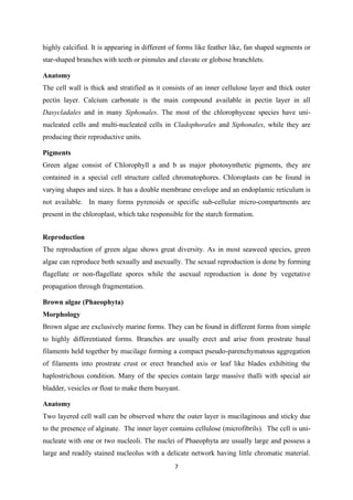 SEAWEED AND ITS POTENTIAL USES: A SHORT REVIEW | PDF
