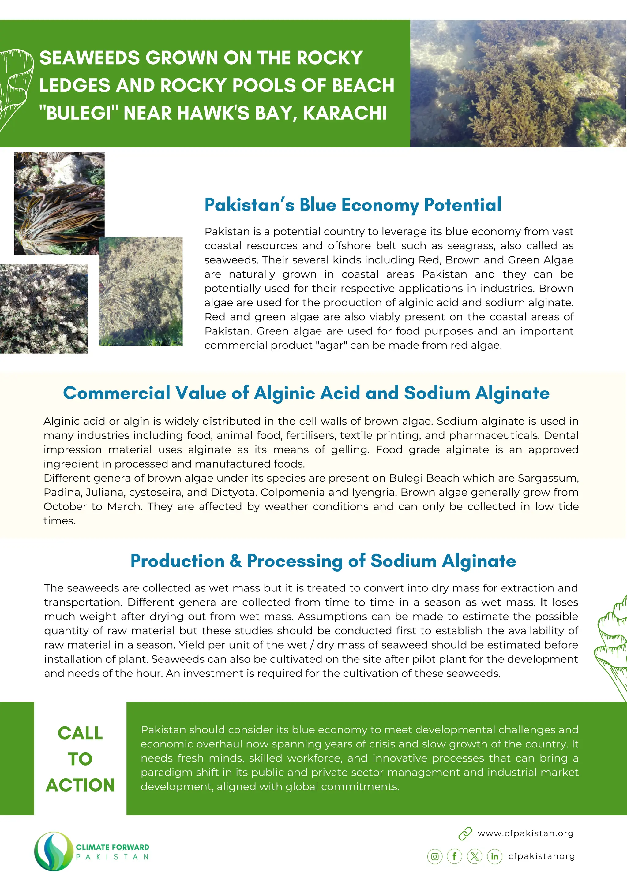 Seaweeds (Sodium Alginate/ Alginic Acid)-White Paper | PDF